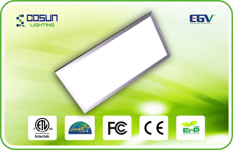 High Efficiency LED Recessed Ceiling Lights / 3500K – 6500K Energy Saving LED 600×1200mm