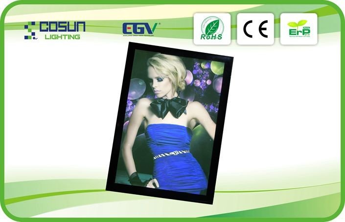 Double Side 20mm Acrylic Magnetic LED Light Box For Elevator Advertising