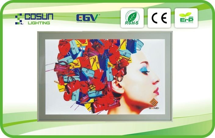 Arylic / Alumium Magnetic Led Light Box Display For Subway Station