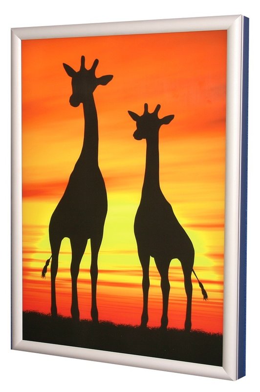 Office Display Snap Frame Display Light  Box High Uniformity