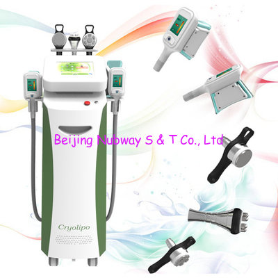 2019 5 Handles 3 in 1 F body slimming and facing Machine Cryolipolyse Fat Freezing Machine
