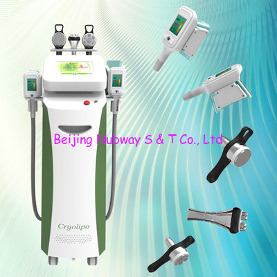 best price cryo slimming machine for fat freeze with 5 handles