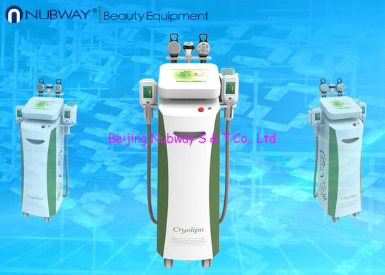 Multifunctional cryotherapy weight loss / cryolipolysis slimming for salon use