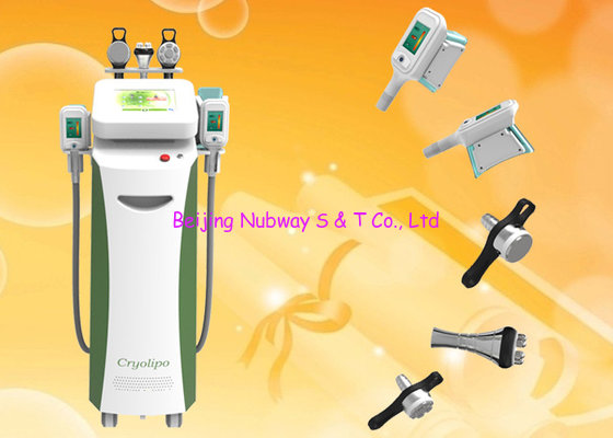 RF Cavitation Cryolipolysis Slimming system nbw-c325 For weight loss criolipolisis/cavitation/Rf 3 in 1 technology