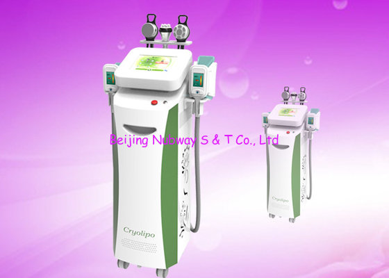 Best selling vacuum cavitation freeze fat cryolipolysis slimming machine with CE FDA approved