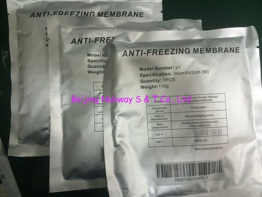 High Quality Body Shape Ultrasound Whole Body Slimming Fat Reduction Cryolipolysis Machine