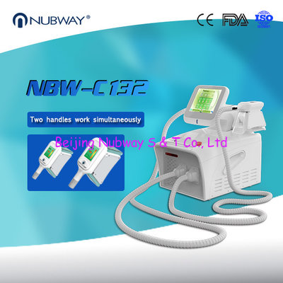 USA Hot Sales Portable 2 Handles Working Simultaneously Cryolipolysis Liposuction Machine