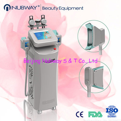 2019 best cryolipolysis caviation RF 3 in 1 fat freezing slimming device