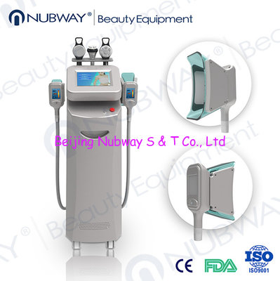 Newest good sale cryolipolysis cool shape cavitation cryotherapy machine factory price