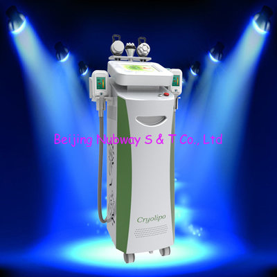 Hottest Sales!!!! Weight Loss Slimming Fat Freeze Cryolipolysis Beauty Machine
