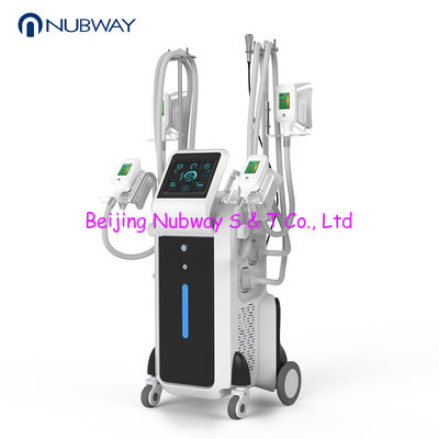 2019 newest design coolshape tech cryolipolysis fat freeze slimming machine for spa/salon
