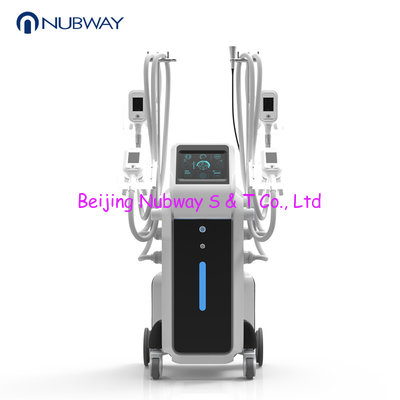 2019 newest design coolshape tech cryolipolysis fat freeze slimming machine for spa/salon