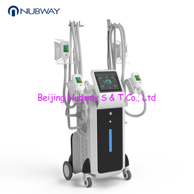 2019 newest design coolshape tech cryolipolysis fat freeze slimming machine for spa/salon