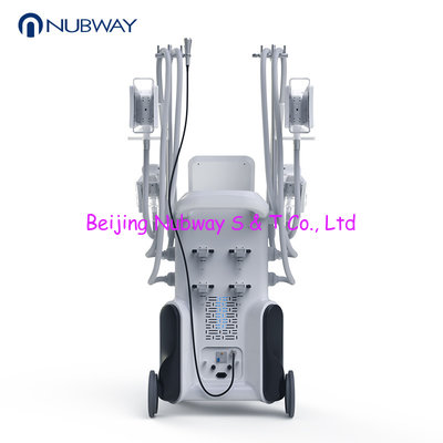 2019 newest design coolshape tech cryolipolysis fat freeze slimming machine for spa/salon