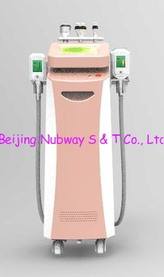 Best model factory price cryolipolysis device fat freeze body slimming machine for salon with CE FDA approved