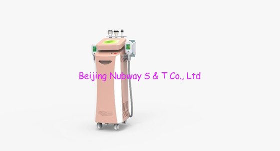New Technology Cell Cryolipolysis Equipment Fat Freeze Slimming Machine For Body And Face