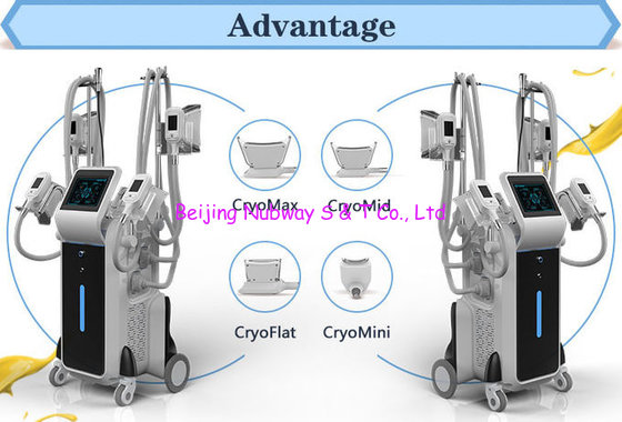 Newest cryolipolysis 4 handles beauty machines cool shape fat freezing lipo cellulite with CE FDA approved