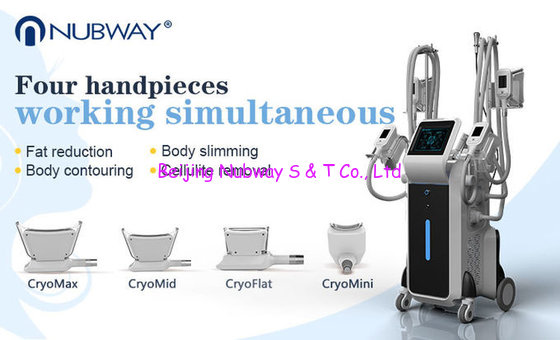 Nubway 2019 hottest sale cryo freeze fat weight loss fast fit weight loss slimming machine with CE FDA approved
