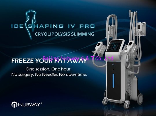 CE / FDA approved criolipolisis cool tech cryolipolysie 4 cryo handles cryolipolysis body shaping slimming machine
