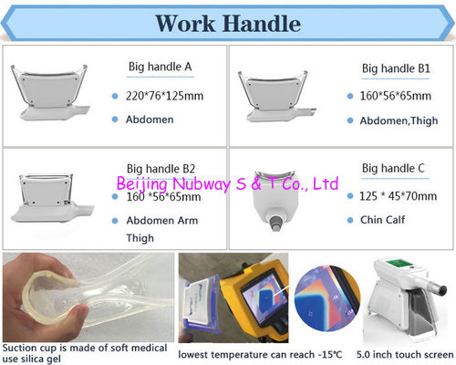 2019 newest design coolshape tech cryolipolysis fat freeze slimming machine for spa/salon