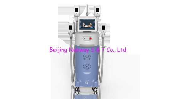 2019 newest China manufacturer 4 cryo handles weight loss cryolipolysis fat freezing machine for sale