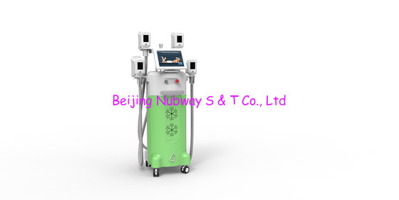 2019 Nubway hottest sale cryo freeze fat weight loss fast fit weight loss slimming machine