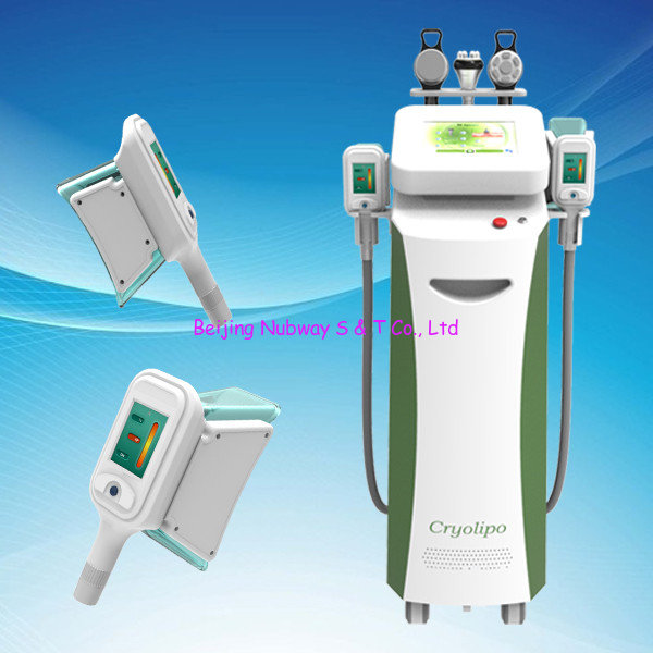 Multifunctional 5 Handles Cryolipolysis Slimming Machine / Fat Frozen System for Mecial Beauty Clinic Use
