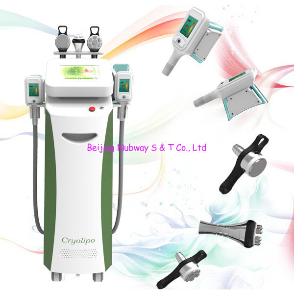 2019 5 Handles 3 in 1 F body slimming and facing Machine Cryolipolyse Fat Freezing Machine