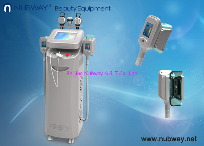 Best model factory price cryolipolysis device fat freeze body slimming machine for salon with CE FDA approved