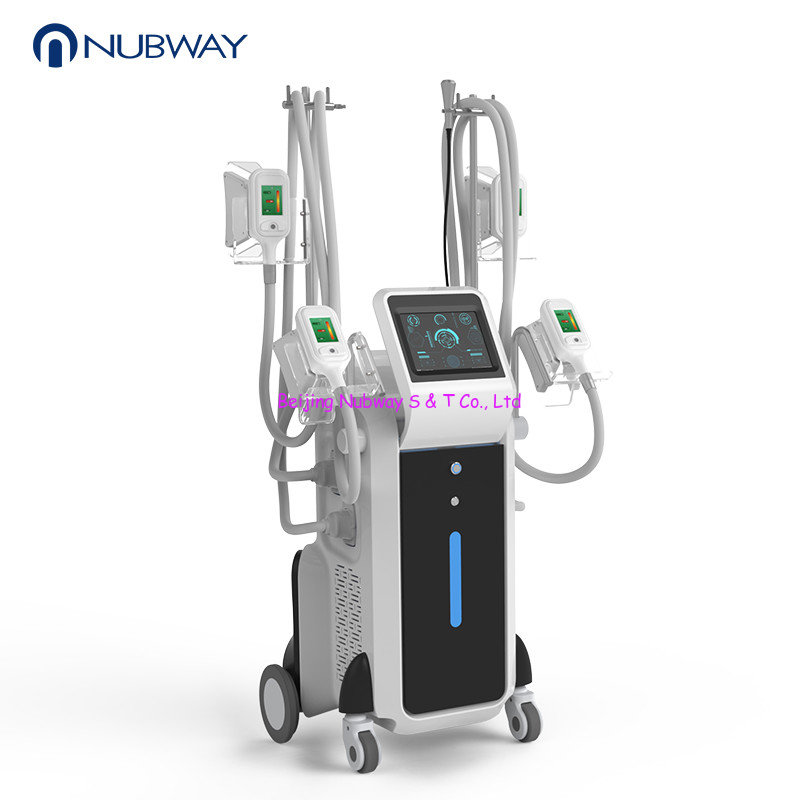 2019 newest design coolshape tech cryolipolysis fat freeze slimming machine for spa/salon