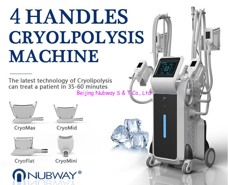 Professional best price lipocryo fat freezing device cryotherapy slimming machine with ce certification