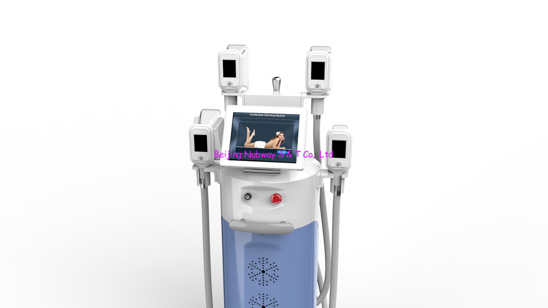2019 Nubway hottest sale 4 cryo handles Leadbeauty Cryo RF cavitation weight loss machine