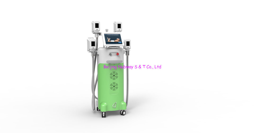 2019 Nubway hottest sale cryo freeze fat weight loss fast fit weight loss slimming machine