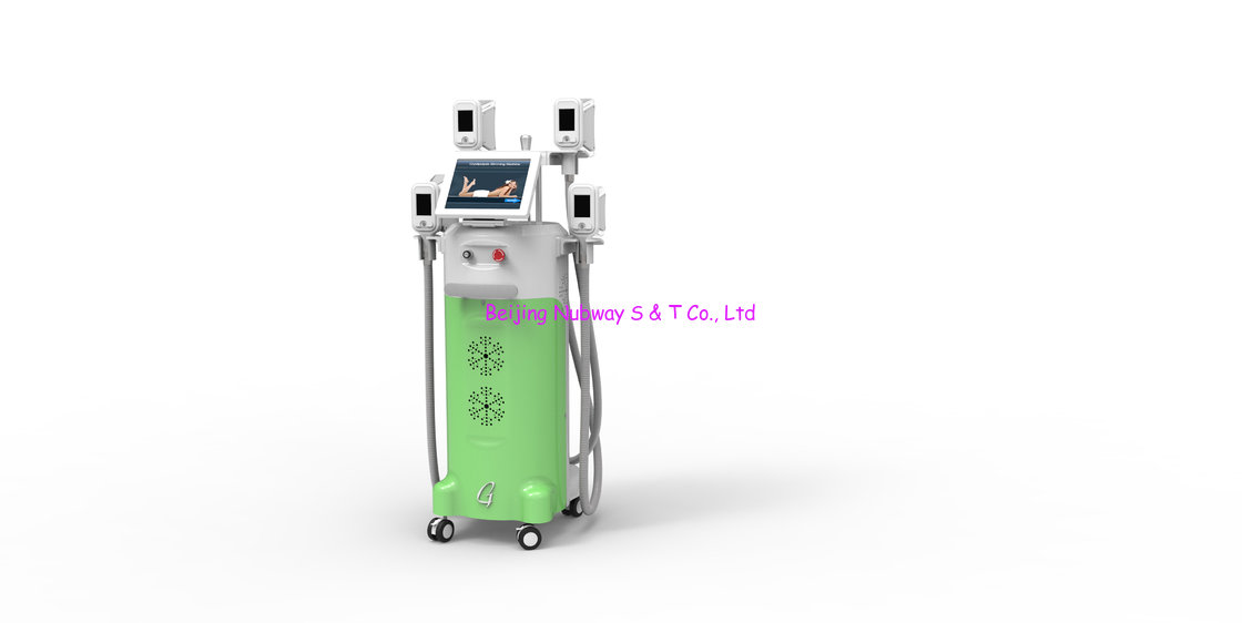 2019 factory price 4 handpiece cryolipolysis slimming machine with CE FDA approved