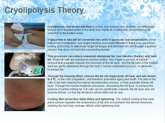 Distributor Cryolipolysis+Lipo Laser Body Sculpting/Fat Reduction Machine NBW-CL128
