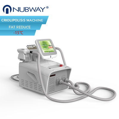 2018 New arrival provide ODM/OEM cryo / cryolipolysis slim machine for salon use