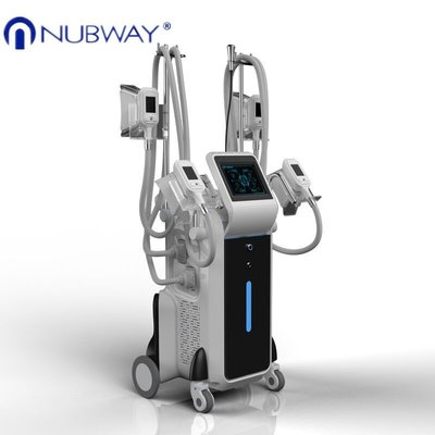 2018 Newly-released!!! The most featured Cryolipolysis Slimming Device four cryo handle can work simulated