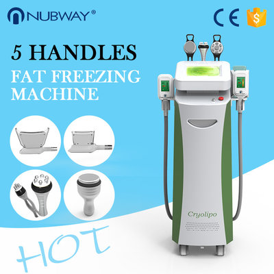 Professional NBW-C325 cool technology body slimming weight loss cryolipolysis machine