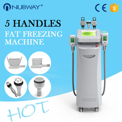 Professional NBW-C325 cool technology body slimming weight loss cryolipolysis machine