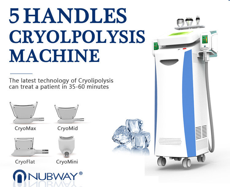 Multi-Functional beauty equipment kryolipolyse cool tech slimming machine cryolipolysis fat freezing equipment