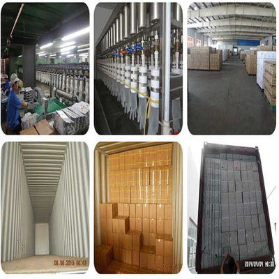 3.0g,3.5g, 4.0g,4.5g,5.0g Powder Free Nitrile Gloves for food service/cleaning room /hair salon/Electronic industry