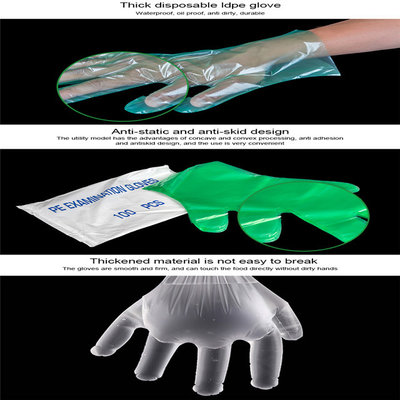 Clear/Transparent/blue Plastic PE  Gloves Polyethylene Gloves  poly gloves single use Embossed  or smooth Surface