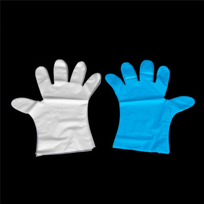 2019 hot selling disposable HDPE / LDPE gloves  Small, Medium,Large,X Large