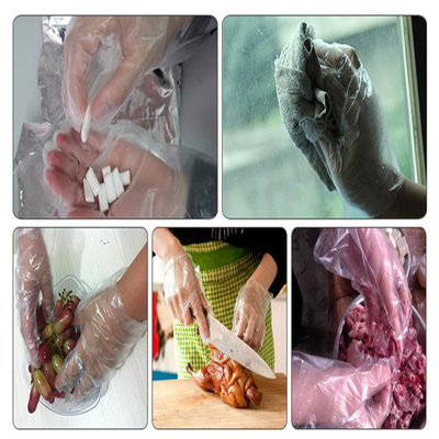 2019 hot selling disposable HDPE / LDPE gloves  Small, Medium,Large,X Large