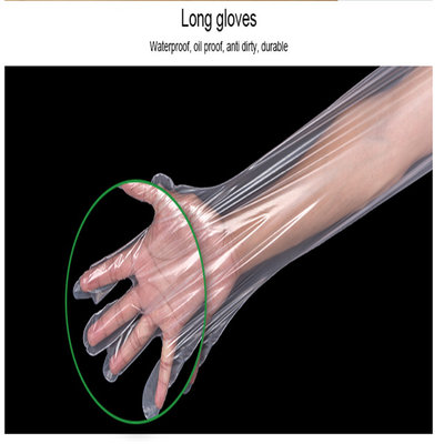 Disposable Long Sleeve HDPE/LDPE/PE Gloves  clear color for home cleaning ,food processing , salon, hospital.