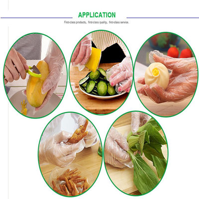 Smooth Surface food process clear/blue/green/pink Polyethylene Gloves (PE Glove) Poly glove