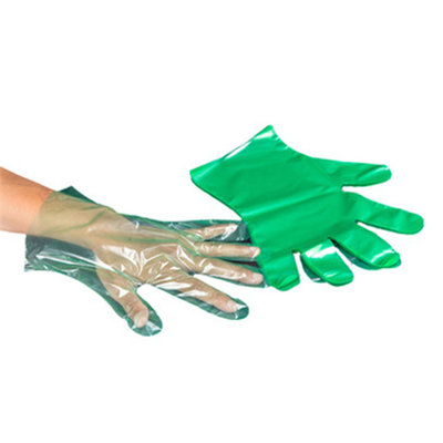 Smooth Surface food process clear/blue/green/pink Polyethylene Gloves (PE Glove) Poly glove