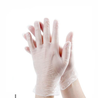 Japan food service Powder Free Disposable Vinyl Gloves  PVC gloves for food handling