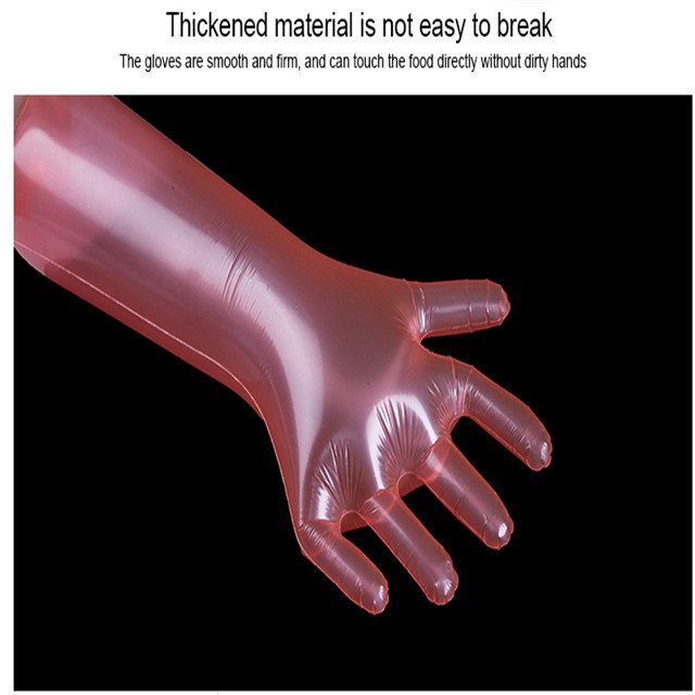 2019 hot selling Disposable Long Sleeve PE Veterinary Gloves HDPE/LDPE/PE Gloves