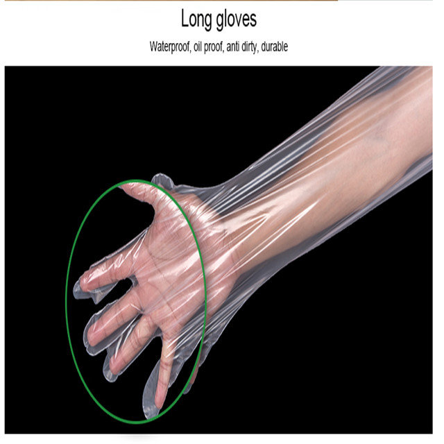 Disposable Long Sleeve HDPE/LDPE/PE Gloves  clear color for home cleaning ,food processing , salon, hospital.